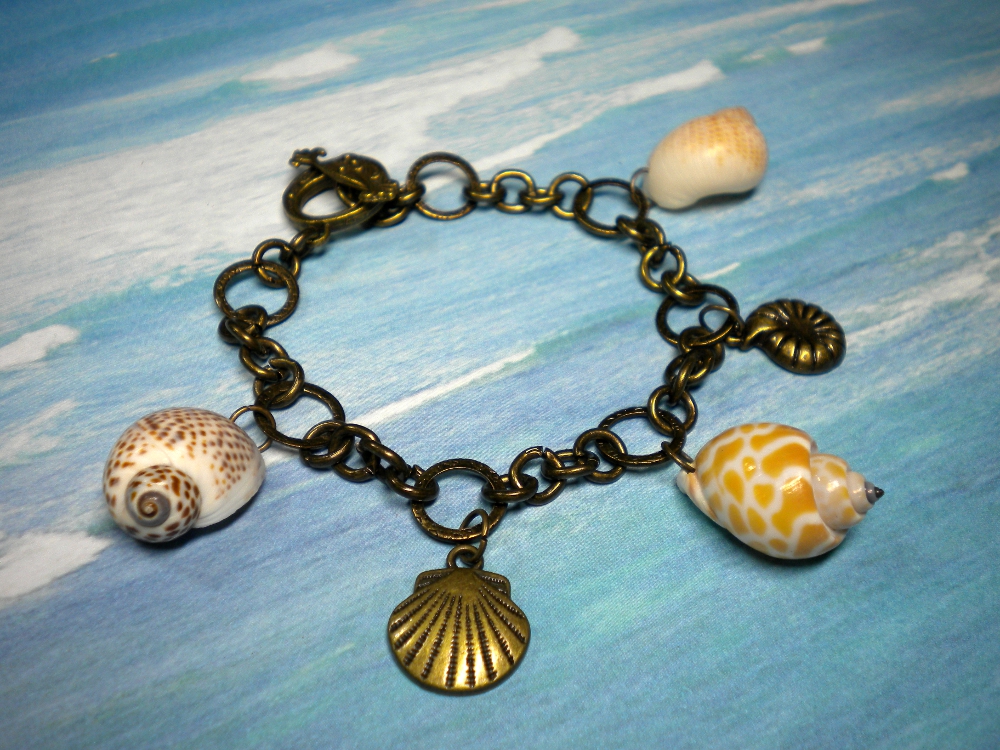 Del's Shells: Florida Seashell Charm Bracelets