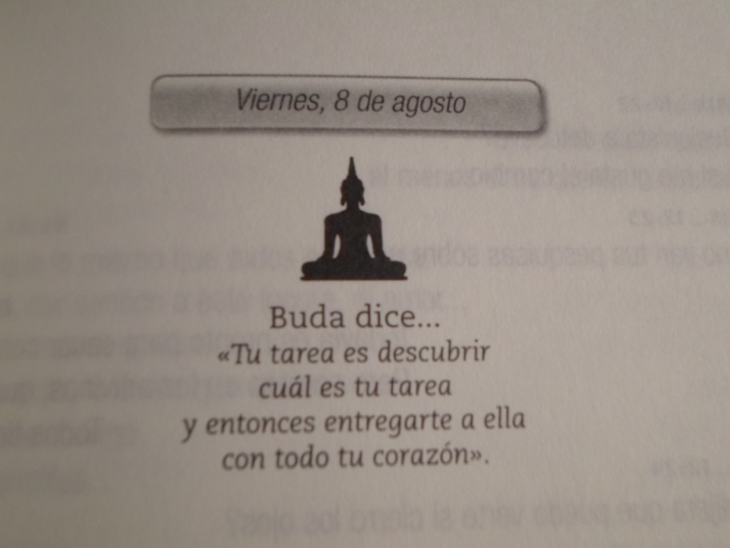 13 · Pulsaciones de Javier Ruescas y Francesc Miralles