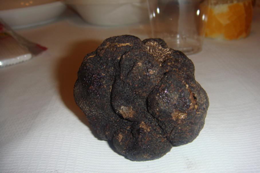 Comentarios sobre eventos gastronómicos: Slow Food Araba-Álava en la VI ...