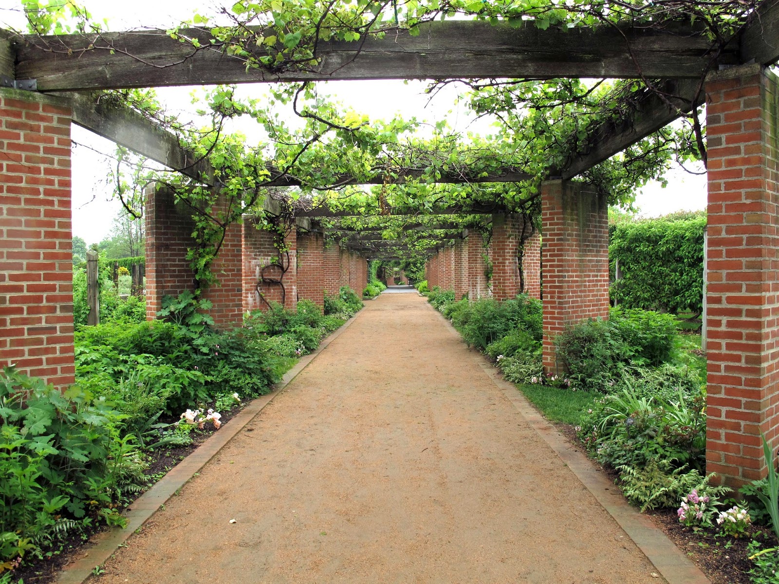 En el jardin: Jardín Botánico de Chicago: vale la pena.