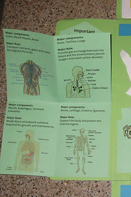 Homeschooling in Heels: Human Body Labook & Unit