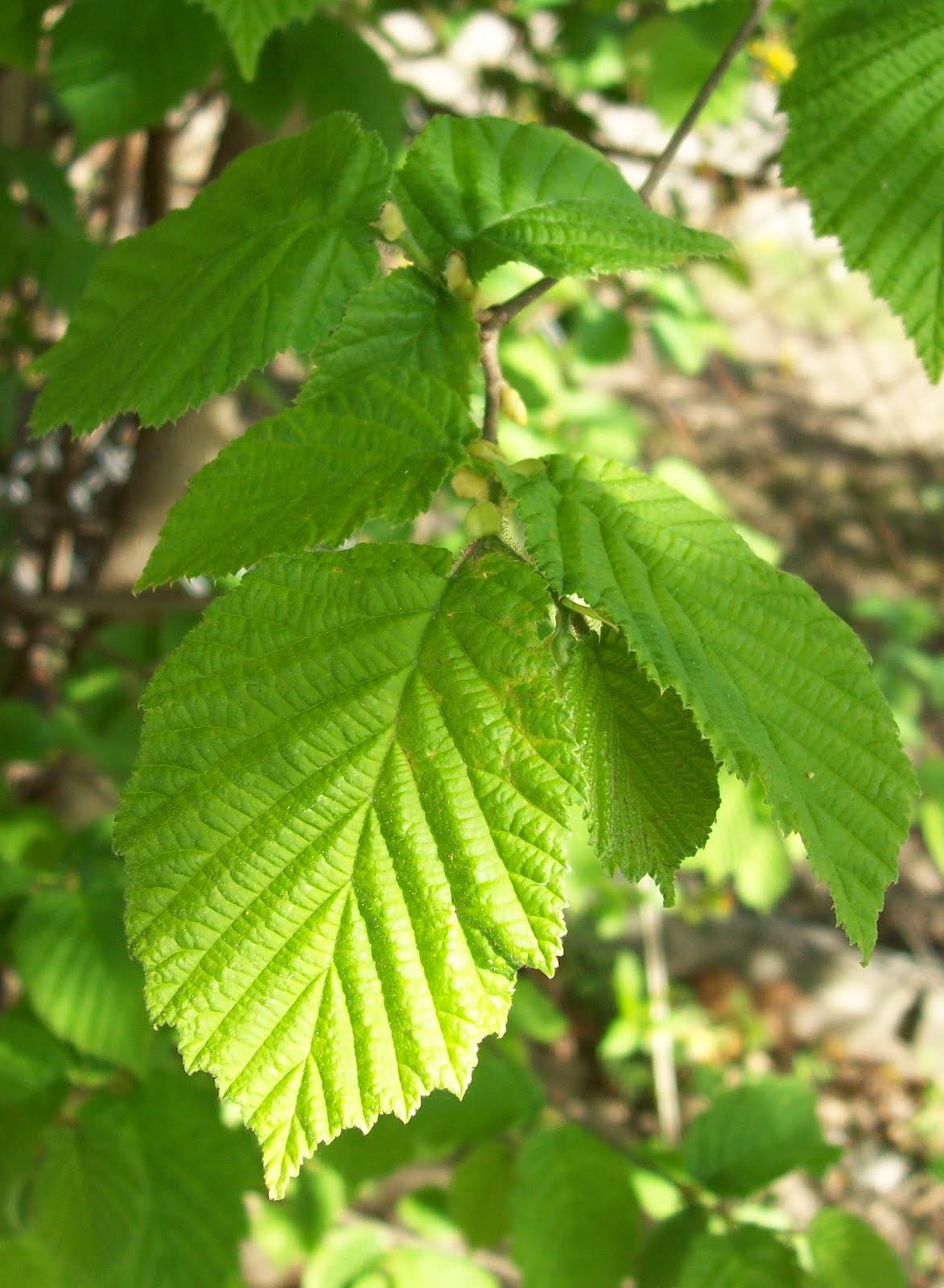 L'Essonne in English: You are now entering Département 91