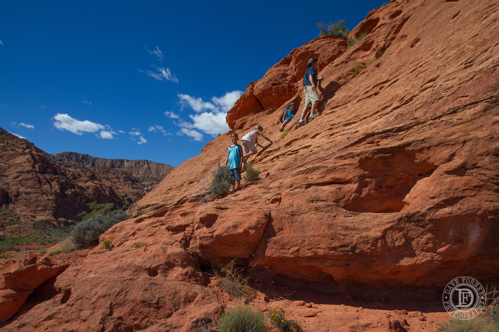 The Forney Flyer: Red Cliffs 1