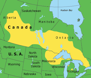 EDU309: Keystone pipeline and rallying and Ojibwe Natives (from ...