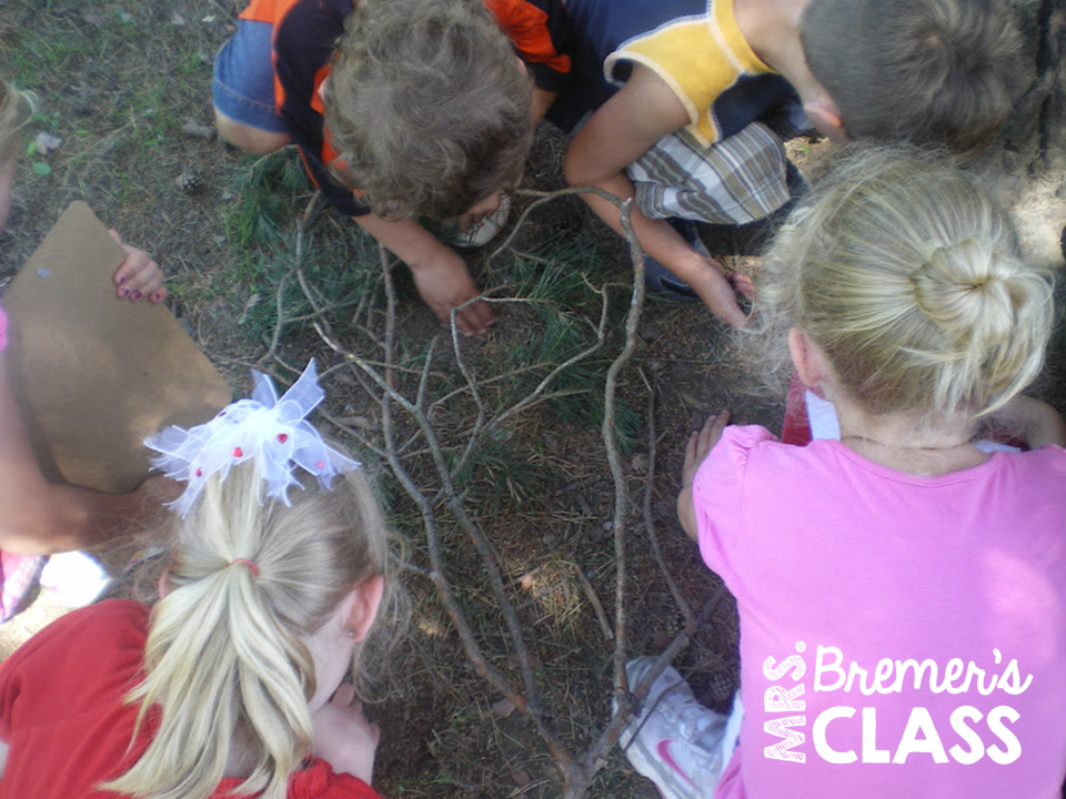 We're Going On A Bug Hunt...freebie! | Mrs. Bremer's Class