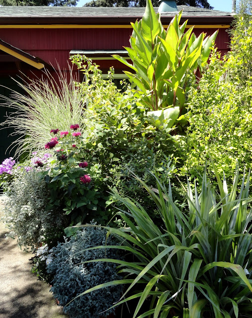 danger garden: A revisit: to a very densely planted, beautiful, garden...