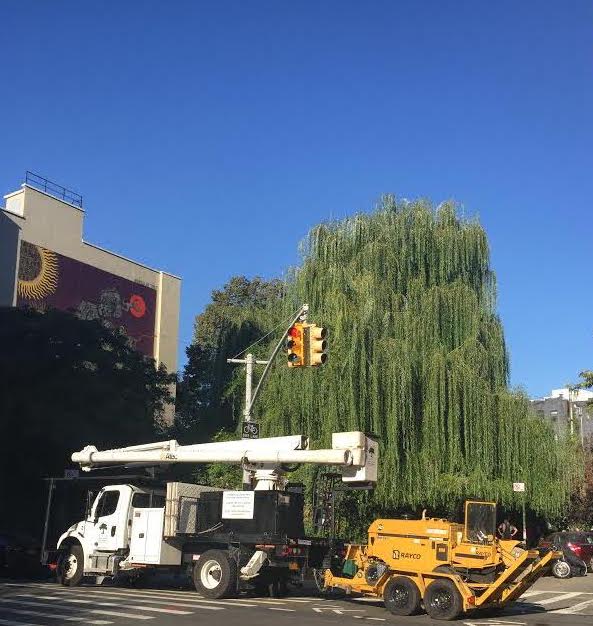 EV Grieve: So long Cher, the willow tree of La Plaza Cultural