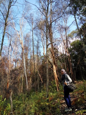 Trekking di Dam Muka Kuning/ Air Terjun, Batam | Jalan-jalan dengan Rina