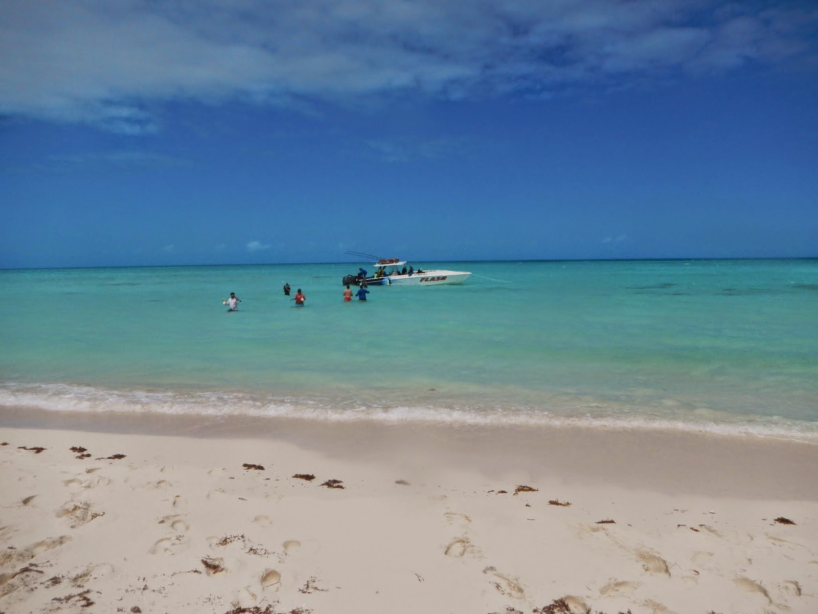 Finding Fossils...: Turks and Caicos Day 4- Ooid Shoal Day