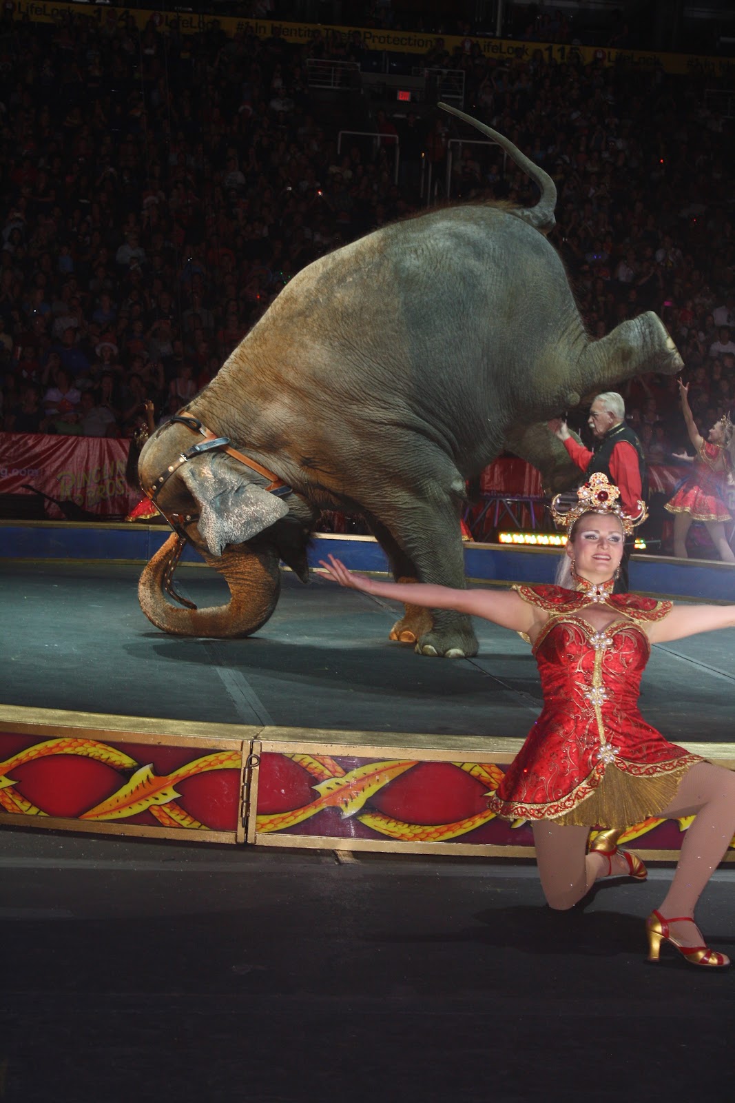 A Joyful Girl...: A Pyramid of Pachyderms