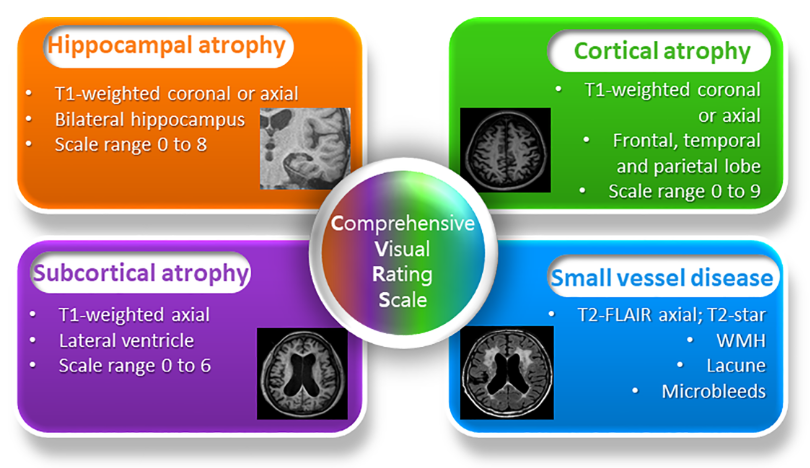 Brainmarkers.com: A ‘Comprehensive Visual Rating Scale’ for predicting ...