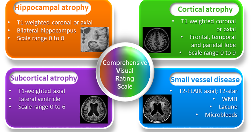 Brainmarkers.com: A ‘Comprehensive Visual Rating Scale’ for predicting ...