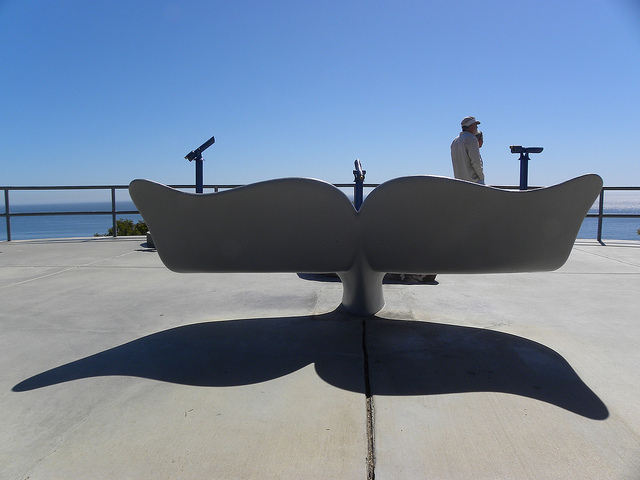 benchsite: Sea benches for World Oceans Day