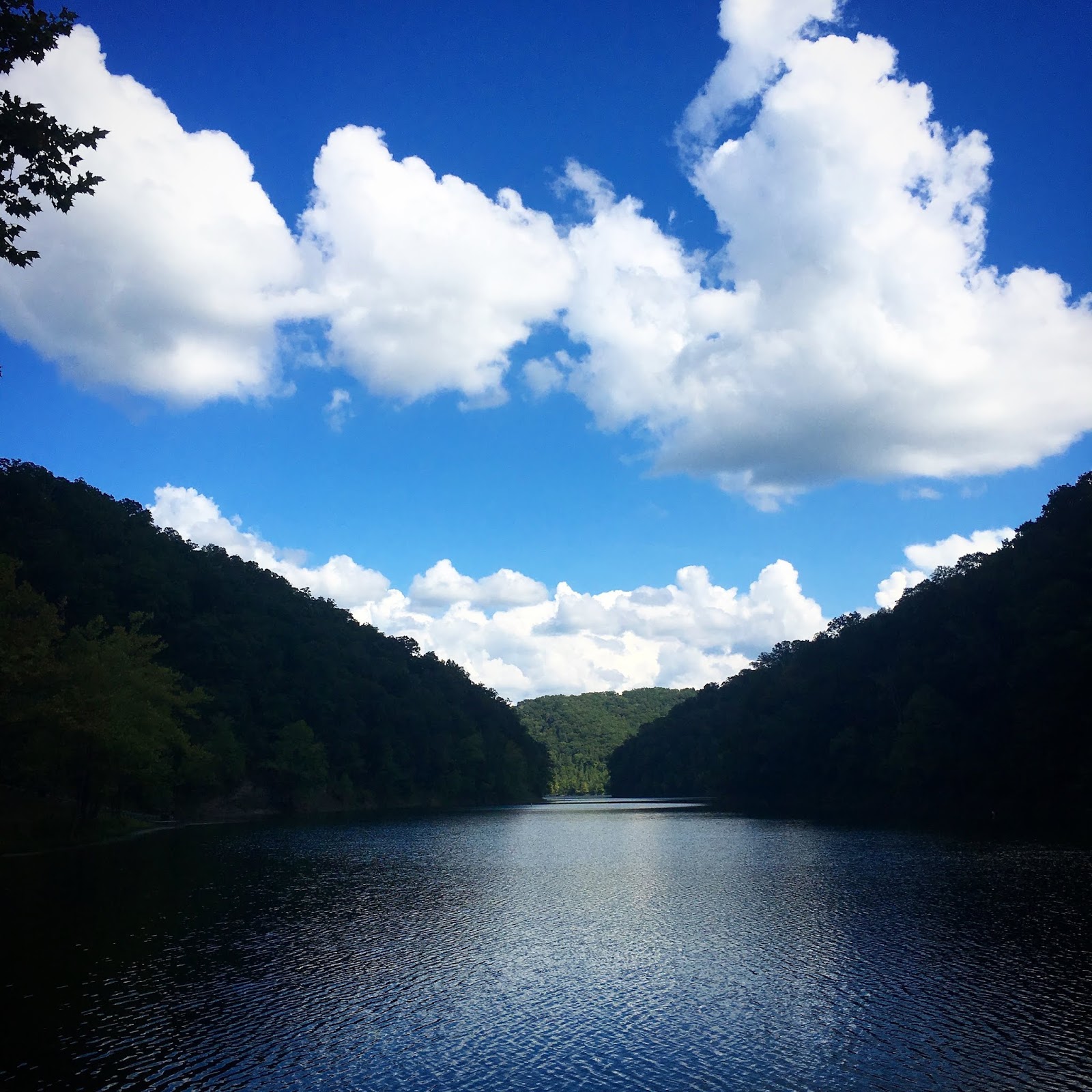 Shelby Lee Adams: Home Page — Welcome