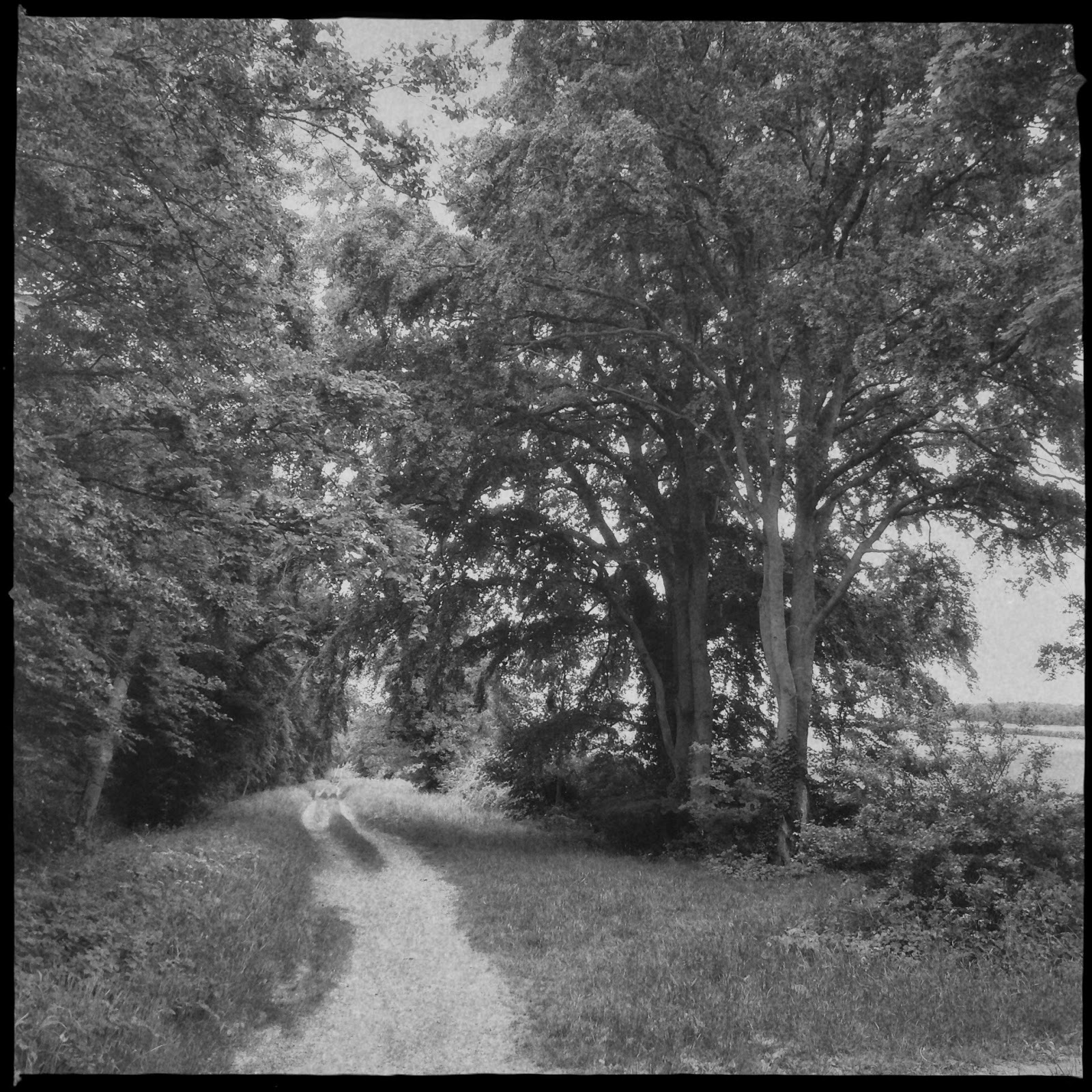 Henry Bugbee - an atheistic mysticism, free of mythical trappings