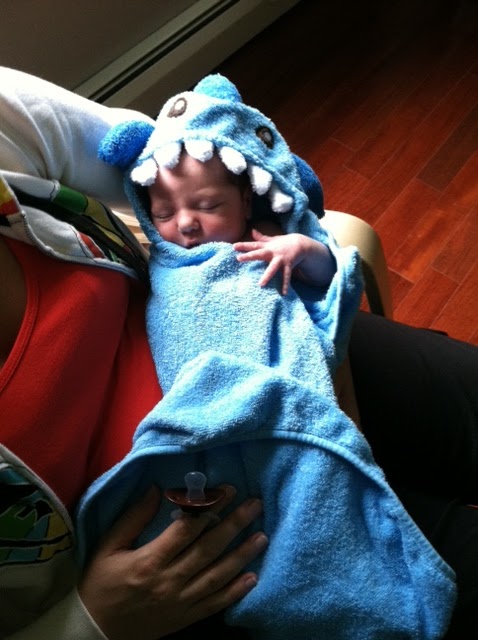 The Adventures of our Baby Huss