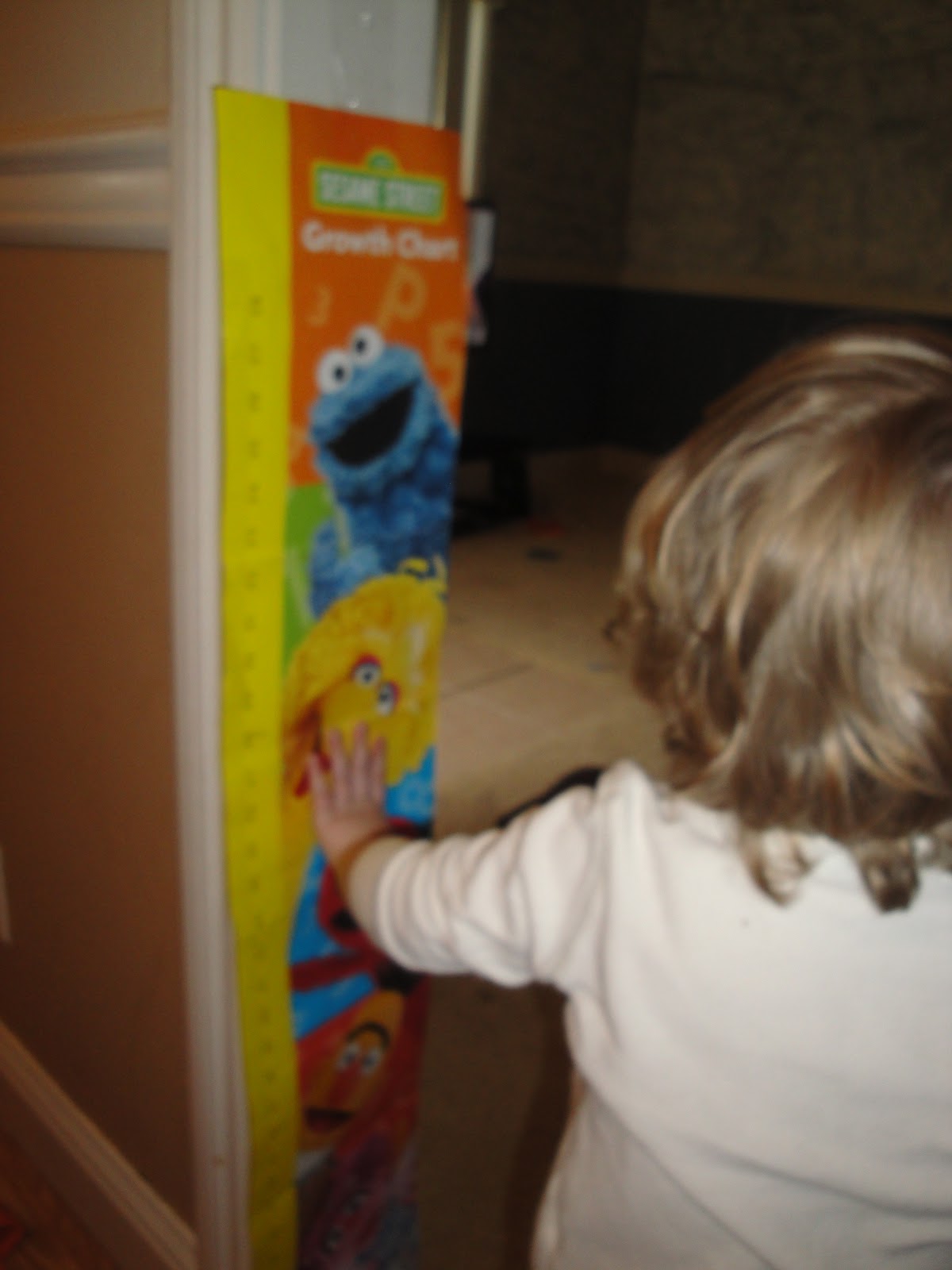 Sesame Street: Big Elmo Fun DVD Review | Frugal Family Tree