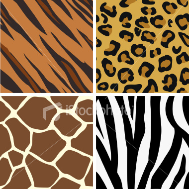 Animal Print: Animal print