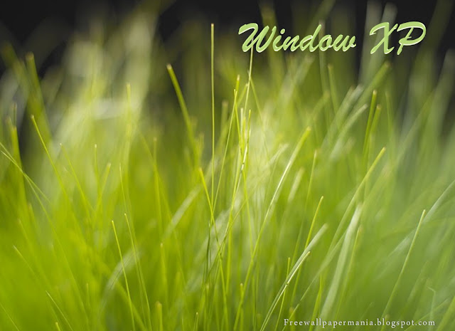 Nature Windows Xp Wallpapers ~ amditechnology