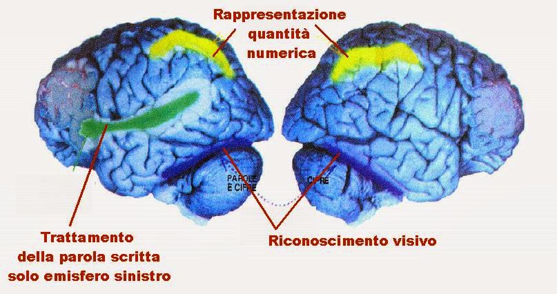 Didattica e Cervello: aprile 2014