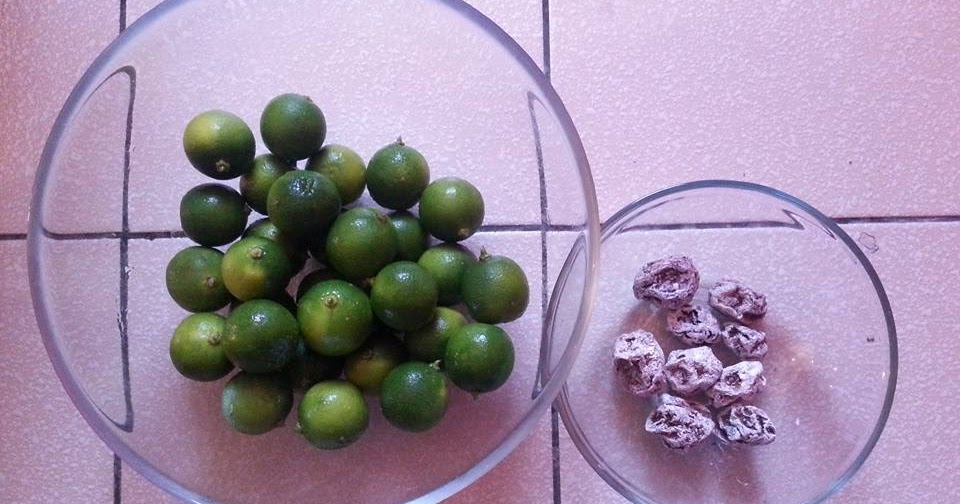 DIARI KEIBUBAPAAN PRAKTIKAL: LIMAU ASAM BOI HOMEMADE