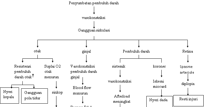 lasopamagazines - Blog