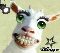 Joseph Cáceres: El chivo, chivo…