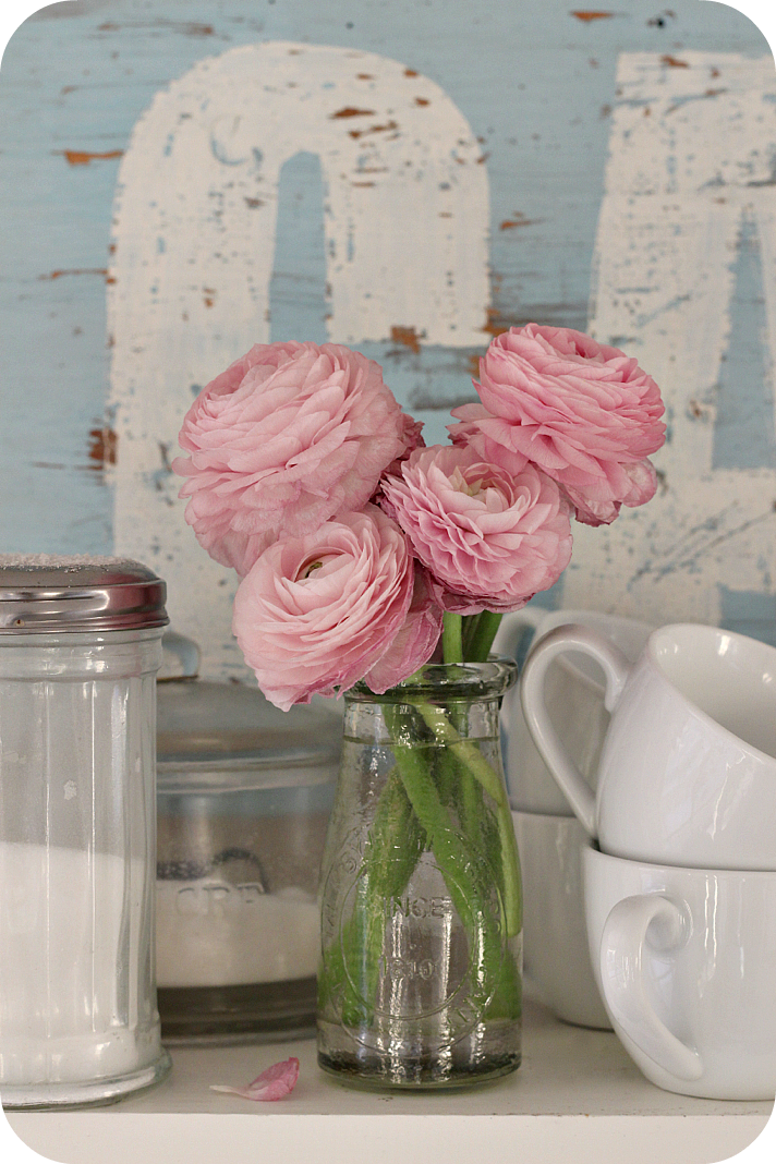 LILLA BLANKA: Rosa ranunkler ~ Pink ranunculus