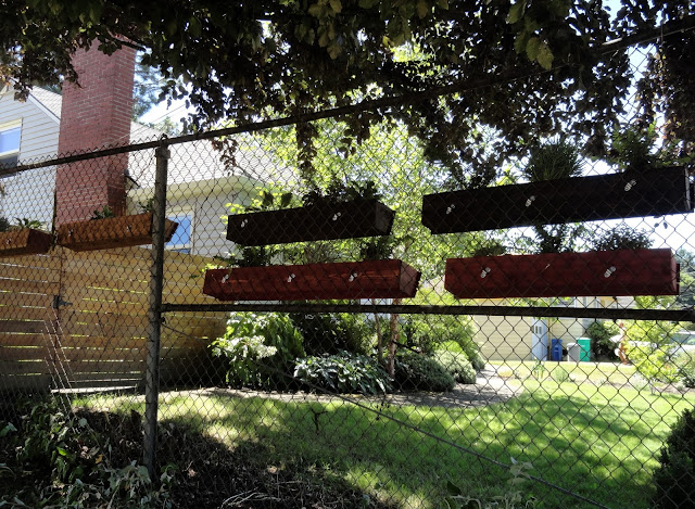 danger garden: Brilliant and yet…