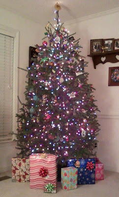 NCSU PDIC: Phytophthora Root Rot on Fraser Fir