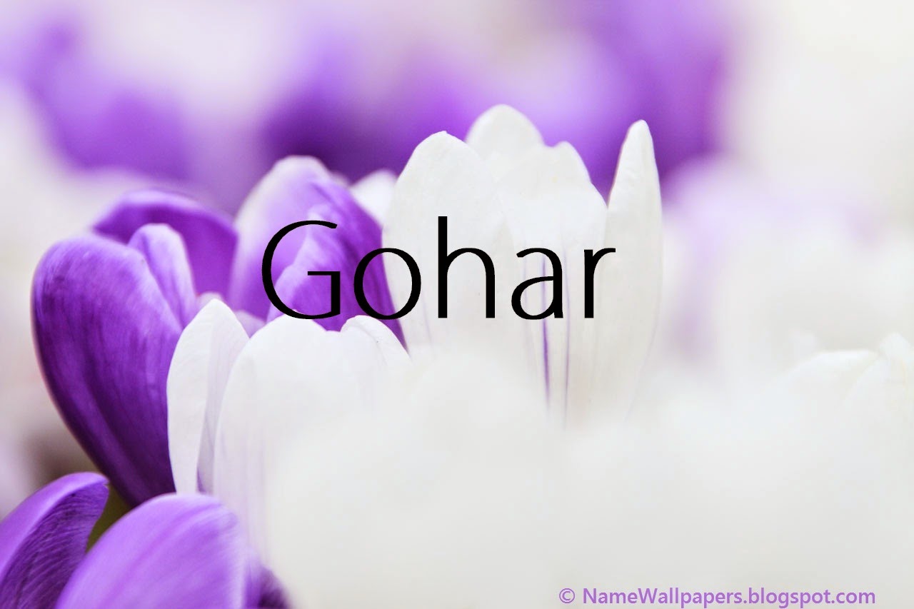 Gohar Name Wallpapers Gohar ~ Name Wallpaper Urdu Name Meaning Name ...