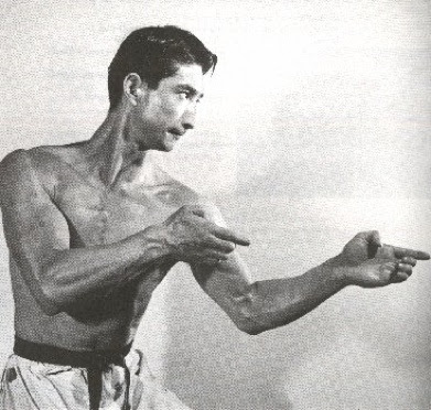 Cook Ding's Kitchen: The Karate of Hidetaka Nishiyama