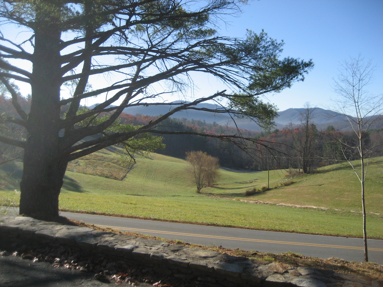 Garden Musings from Memphis Area Master Gardeners: Penland School of Crafts
