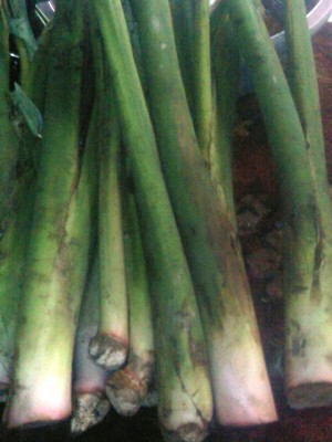 Liza Mutiara's Blog: sayur lodeh lompong