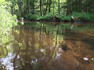 Mohsen Behnam (شعر زیبا)