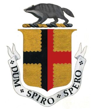 Jangan Susah Hati: Sejarah > Evolusi Bendera dan Jata Negeri Sarawak.