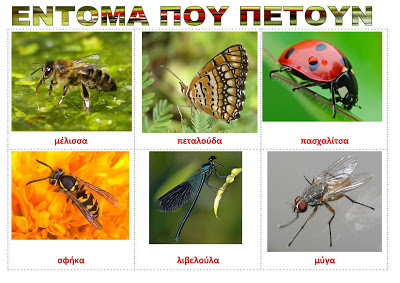 12o ΝΗΠΙΑΓΩΓΕΙΟ ΠΟΛΙΧΝΗΣ