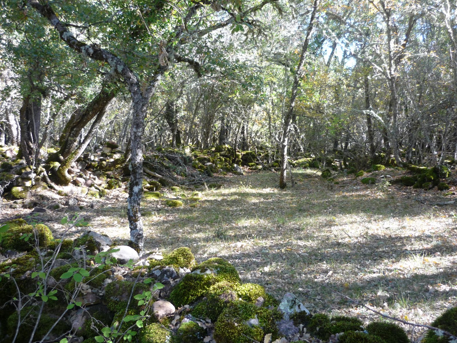 SERRANIA PRE-HISTÓRICA