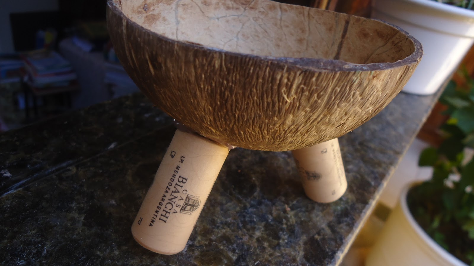 PEQUENAS IDEIAS, GRANDES COISAS...: Casca de coco reciclada