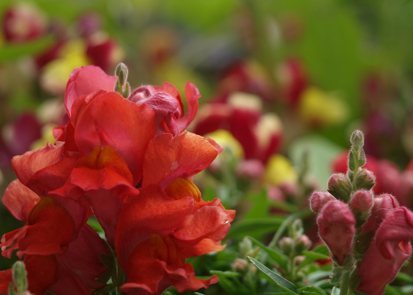 A Life Inspired by Nature: March 2013