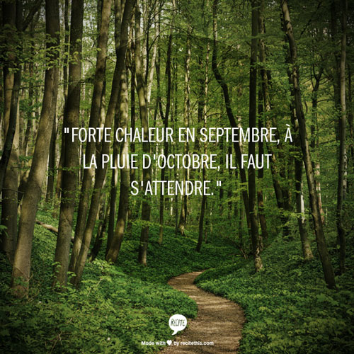 TICs en FLE: Proverbe français sur le mois de septembre