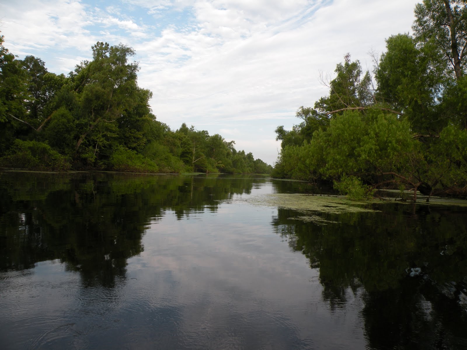 Mary's Louisiana Garden: Atchafalaya Basin Fishing Trip