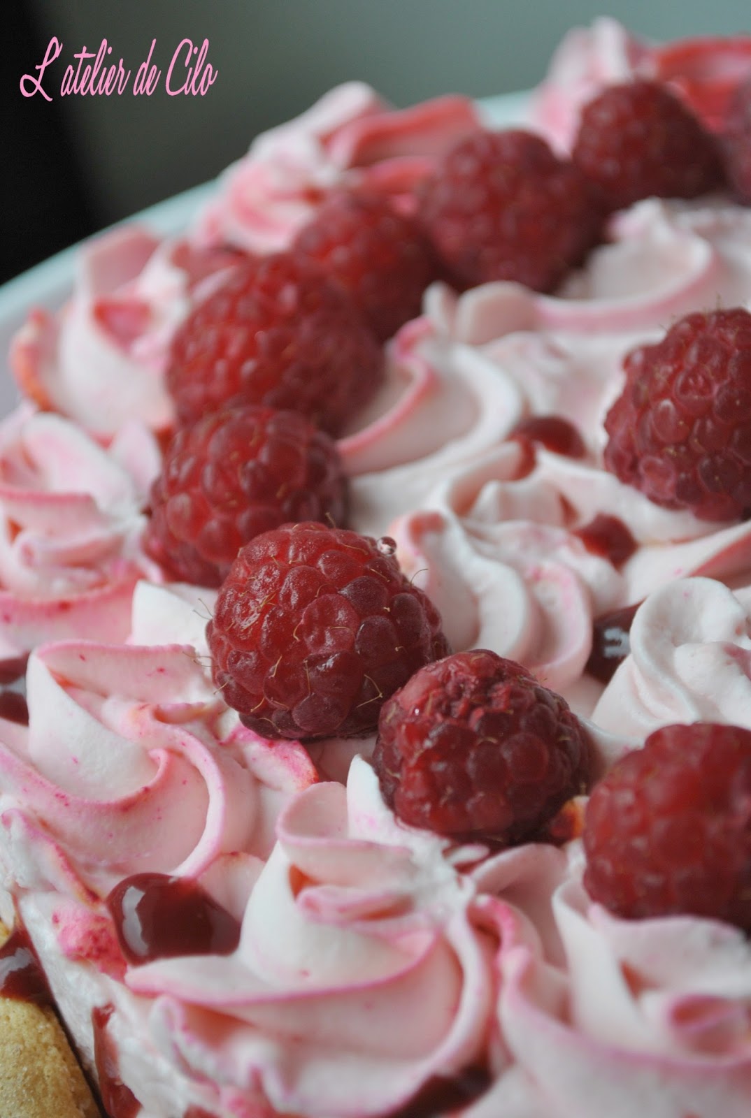 L'atelier de Cilo: "Charlotte aux framboises / Raspberry Charlotte"