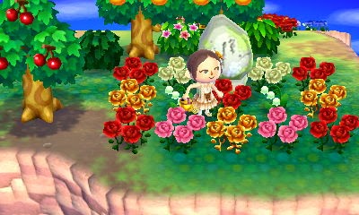 Sixthfore: Personal Game Log: Animal Crossing: New Leaf - Hybrid ...