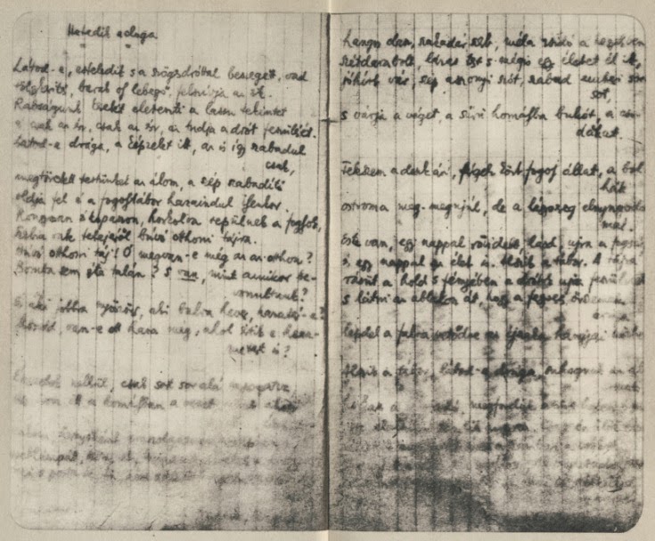 irodalomok / szövegek: Radnóti Miklós eclogái