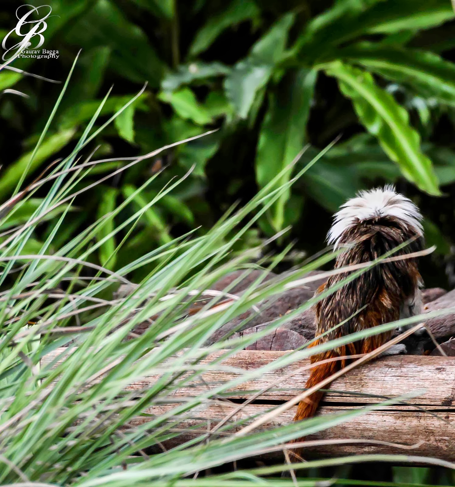 Still Earth : RAW NATURE.........EXTENDED