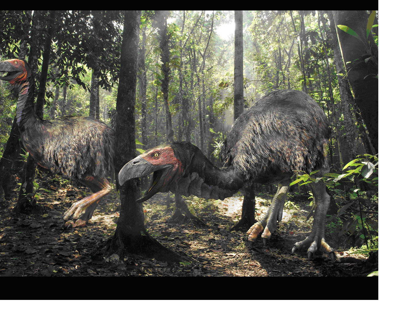 Prehistoric Life: Prehistoric Birds