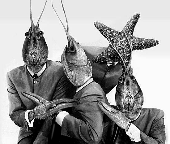 The Residents - Meet The Residents (1974)