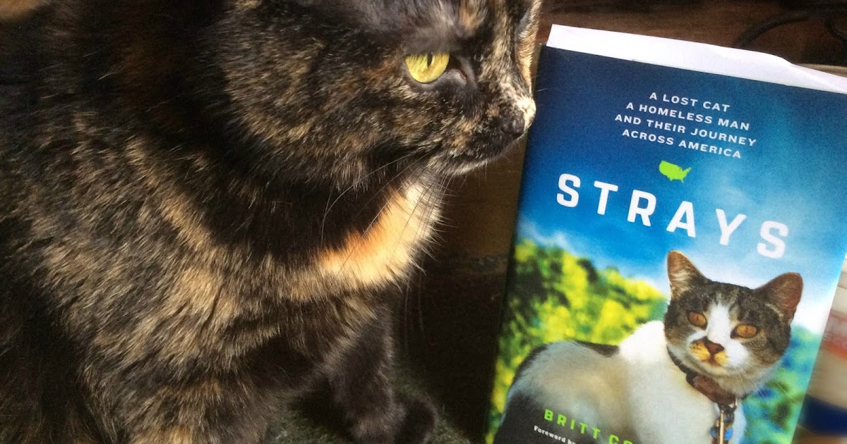 Melissa's Mochas, Mysteries and Meows: The Must-Read Cat Book of 2017 ...