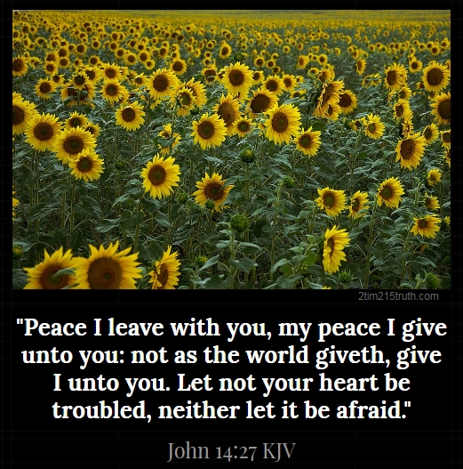 2 Timothy 2 15 Truth Verse Of The Day John 14 27 KJV